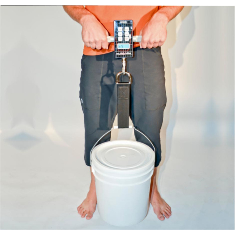 ErgoFET500 Digital Push Pull Dynamometer | Alat ukur kekuatan otot gaya ...